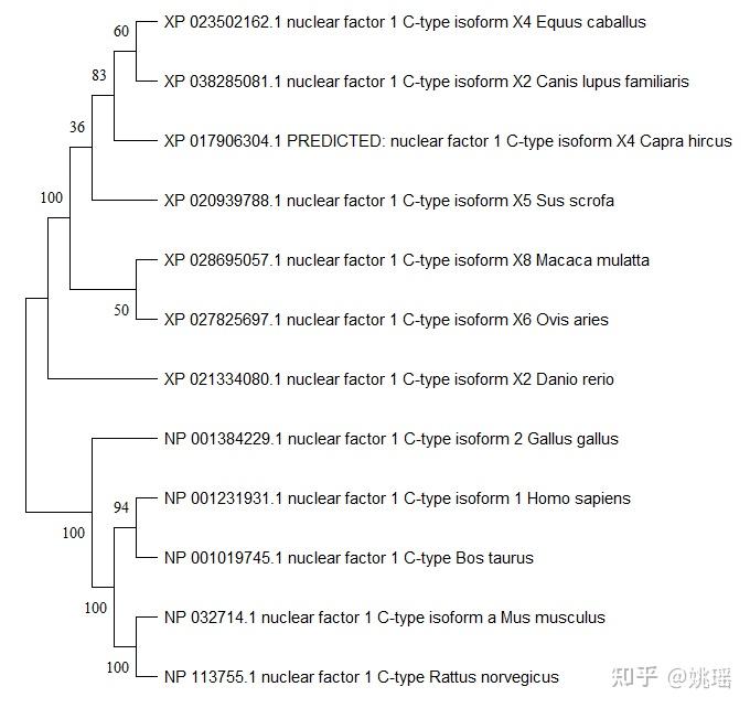 如何对某个基因功能进行详细的生物信息学分析？ - 知乎