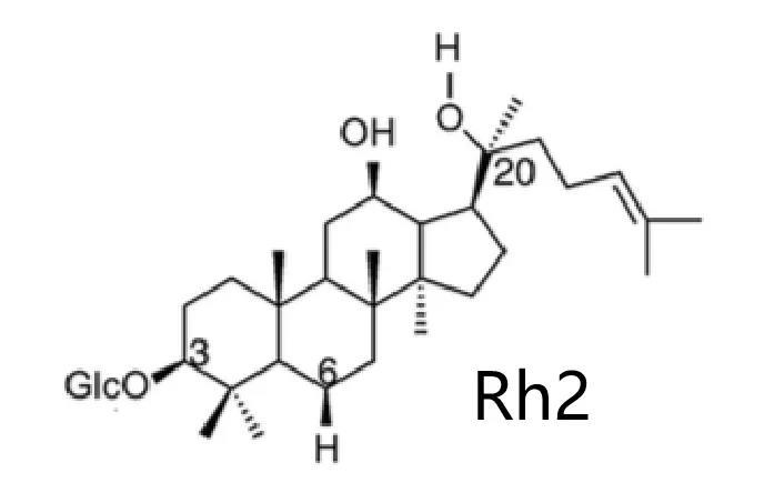 莱菲得纯参原_人参皂苷Rh2抗肿瘤转移功能研究进展 - 知乎