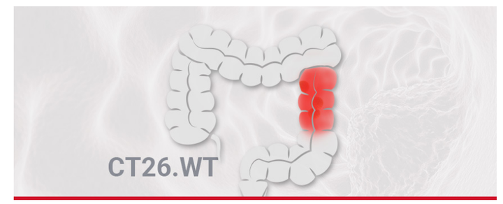 基因编辑CT26.WT细胞系——结肠癌研究与治疗的神奇途径 |源井生物 - 知乎