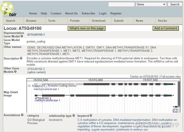 拟南芥种子订购详细攻略-TAIR-ABRC篇 - 知乎