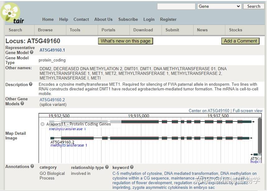 拟南芥种子订购详细攻略-TAIR-ABRC篇 - 知乎