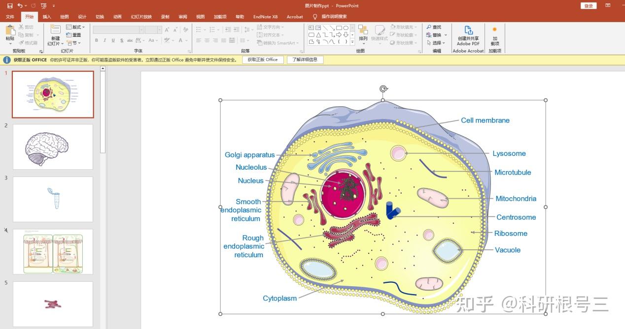 怎么看科研者之家的Figdraw免费在线绘图平台？ - 知乎