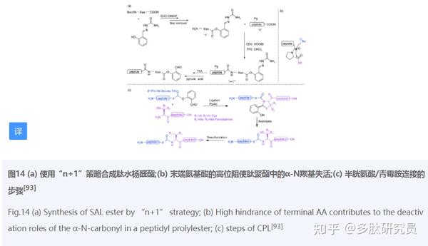 多肽及蛋白质的化学合成研究 - 知乎