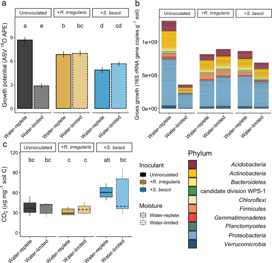 ISME | 研究揭示真菌和细菌的协同作用促进植物在干旱条件下生长！ - 知乎
