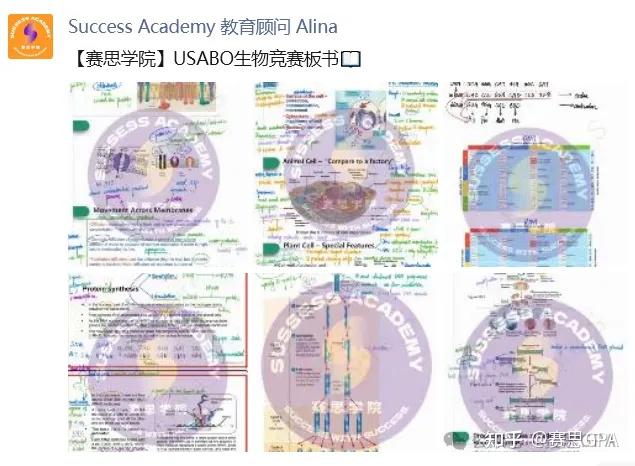 最具含金量三大顶级生物竞赛，USABO/BBO/BrainBee学霸级备赛干货 - 知乎