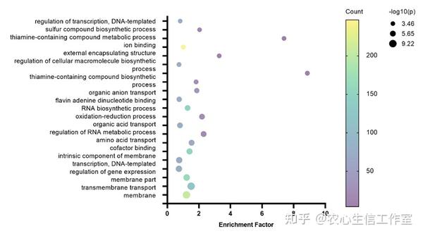 零门槛学科研绘图 | 用GraphPad prism 9绘制GO气泡图 - 知乎