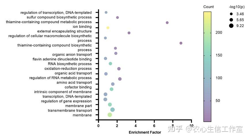 零门槛学科研绘图 | 用GraphPad prism 9绘制GO气泡图 - 知乎