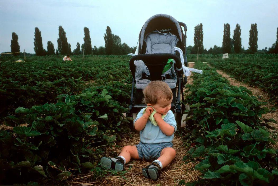 Alex Webb | 全集：99%的街拍照片都是失败的 - 知乎