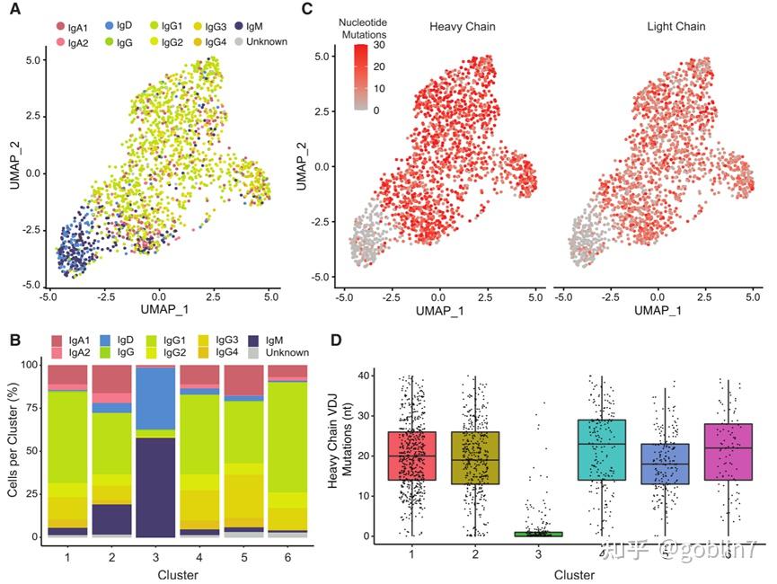 文献阅读——Long-lasting B cell convergence to distinct broadly reactive ...