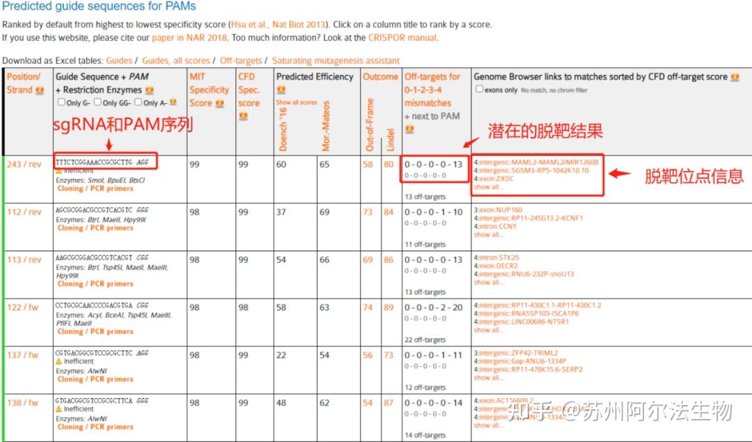 CRISPR/Cas9实验设计方法 - 知乎