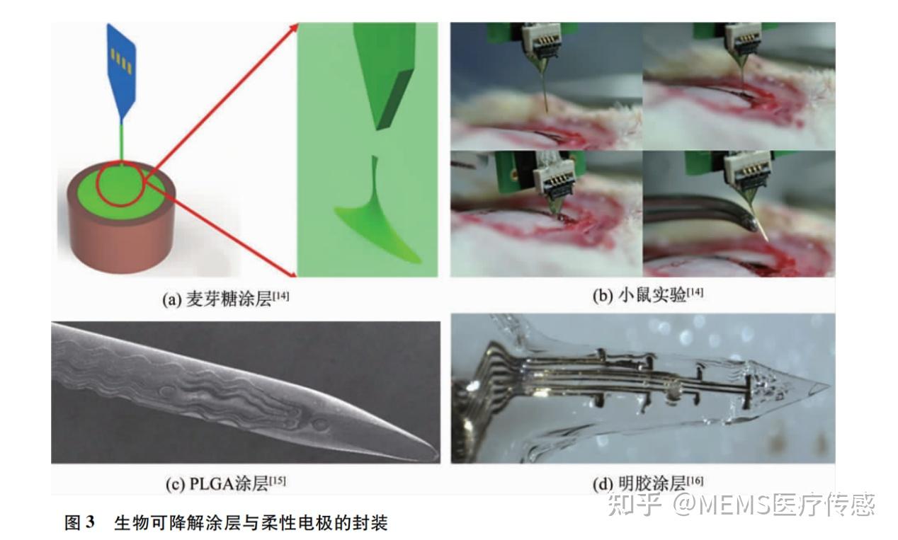 柔性神经电极植入策略 - 知乎