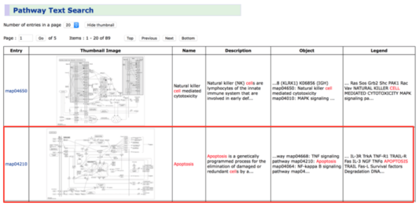 KEGG Pathway 功能绘制通路图 - 知乎