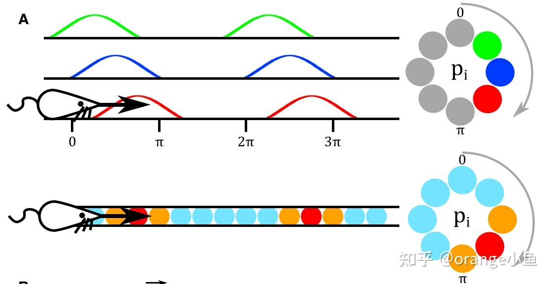 Using Grid Cells for Navigation - 知乎