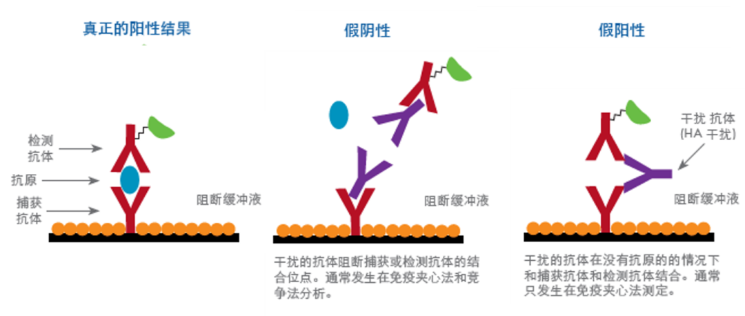 揭秘免疫阻断剂：提高免疫诊断的准确性 - 知乎