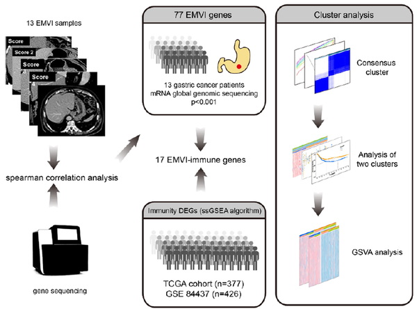 从临床问题切入，分析壁外血管侵犯(EMVI)和免疫相关基因！这篇8分+生信文章极具借鉴意义，还告诉你验证实验这么加更有价值~ - 知乎