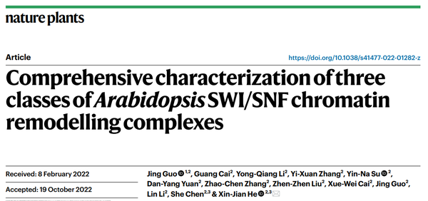 Nature Plants | 何新建实验室鉴定了植物中三类SWI/SNF染色质重塑复合体，并揭示其功能差异 - 知乎