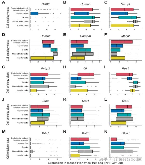 代谢学人--Nature Metabolism：胆固醇代谢紊乱，RBFOX2来理清 - 知乎
