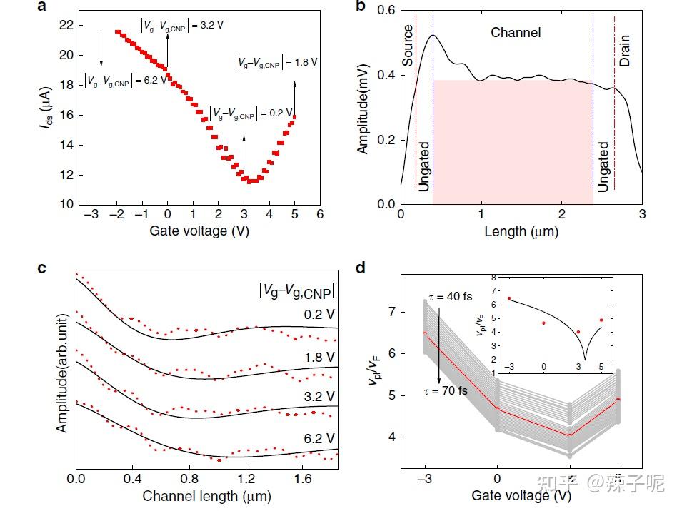 Direct nanoscopic observation of plasma waves in the channel of a ...