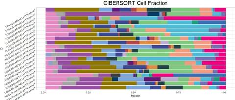 R语言cibersort算法为啥运行不出？ - 知乎