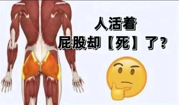 【会玩的解剖师】人活着屁股却 死”了? 知乎