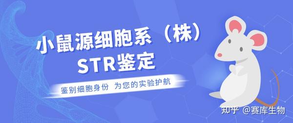 【赛库生物】带您详细了解细胞STR鉴定 - 知乎