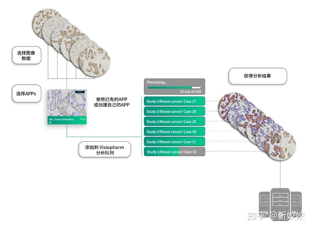 解锁精准医学新纪元：Visiopharm病理分析系统的革命性力量 - 知乎