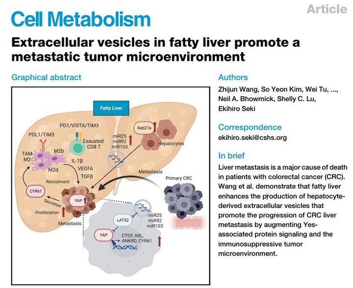 Cell Metabolism | 细胞-细胞相互作用怎么研究？看完这篇CM可能就会了 - 知乎