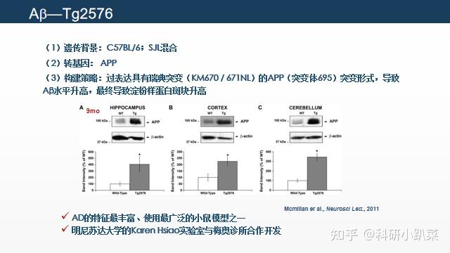 AD鼠介绍 - 知乎