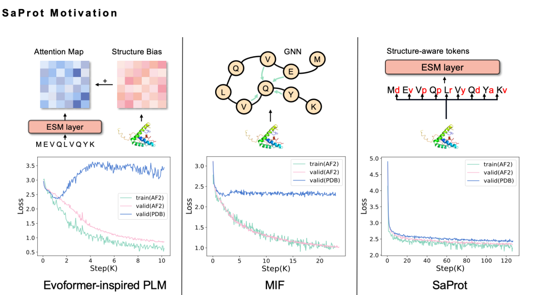 西湖大学团队开源SaProt等多款蛋白质语言模型，覆盖结构功能预测/跨模态信息搜索/氨基酸序列设计等 - 知乎