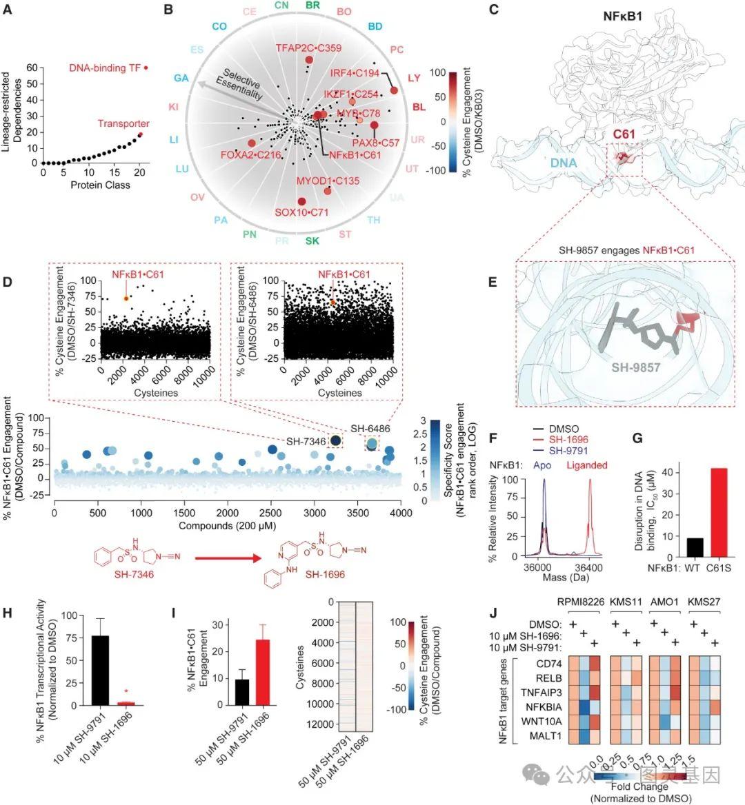 Cell ｜ 哈佛医学院开发DrugMap，系统识别可被共价抑制剂靶向的位点 - 知乎