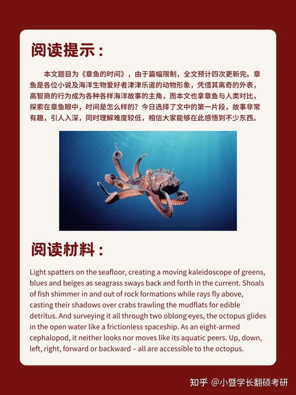【阅读材料分享】| Octopus Time by David Borkenhagen-Ⅰ - 知乎