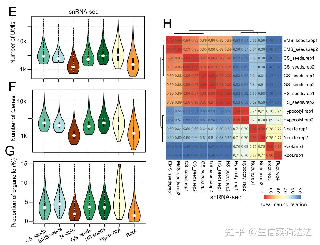 A spatially resolved multi-omic single-cell atlas of soybean development - 知乎