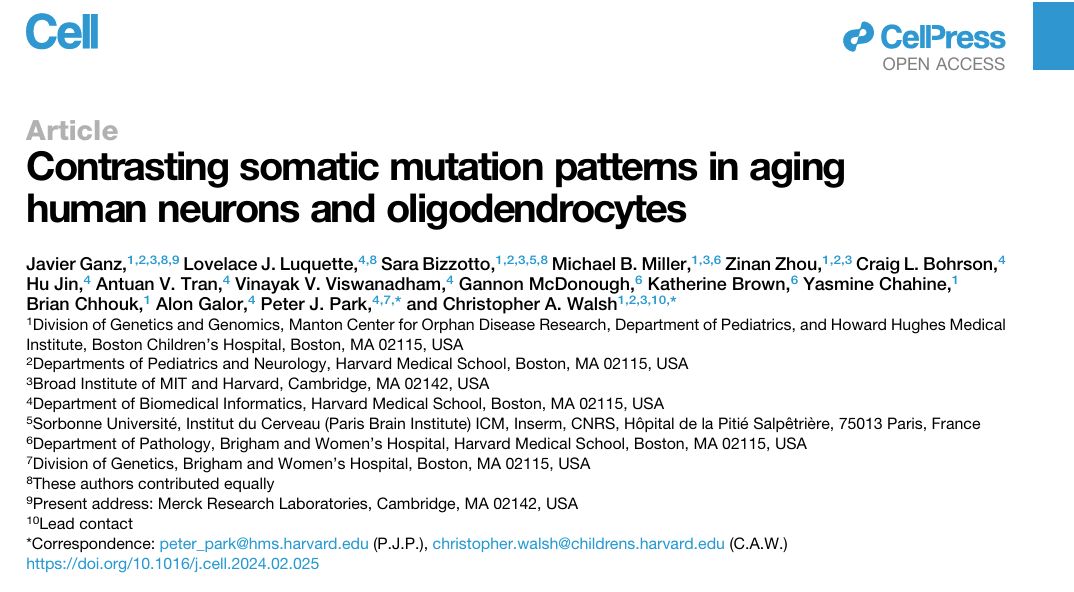 Cell | scWGS-seq＋snRNA-seq＋snATAC-seq—揭示人类不同的神经元和少突胶质细胞衰老体细胞突变模式 - 知乎