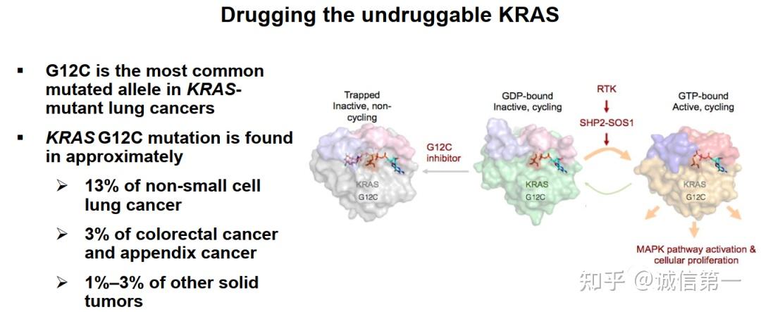 全球首款KRAS突变用药——索托拉西布（AMG510） - 知乎