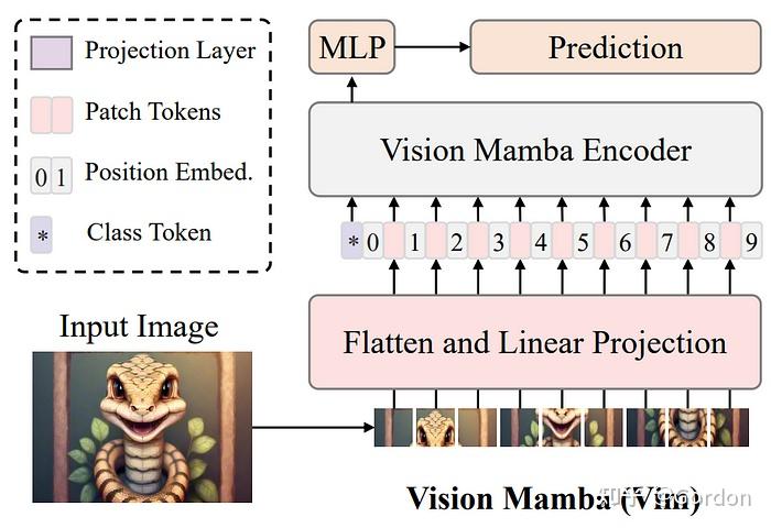 视觉mamba: 使用双向状态空间模型进行高效视觉表示学习 - 知乎