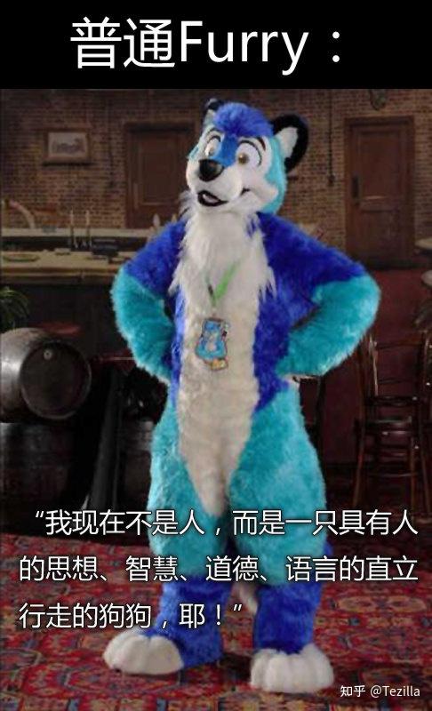 小众文化中的小众文化⸺什么是精神系Furry？ - 知乎