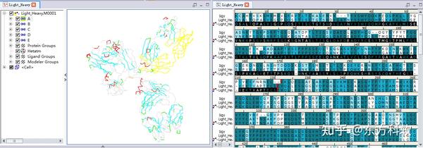 Discovery Studio官方教程（Help-Tutorials） 基于MODELER构建抗体模型 - 知乎