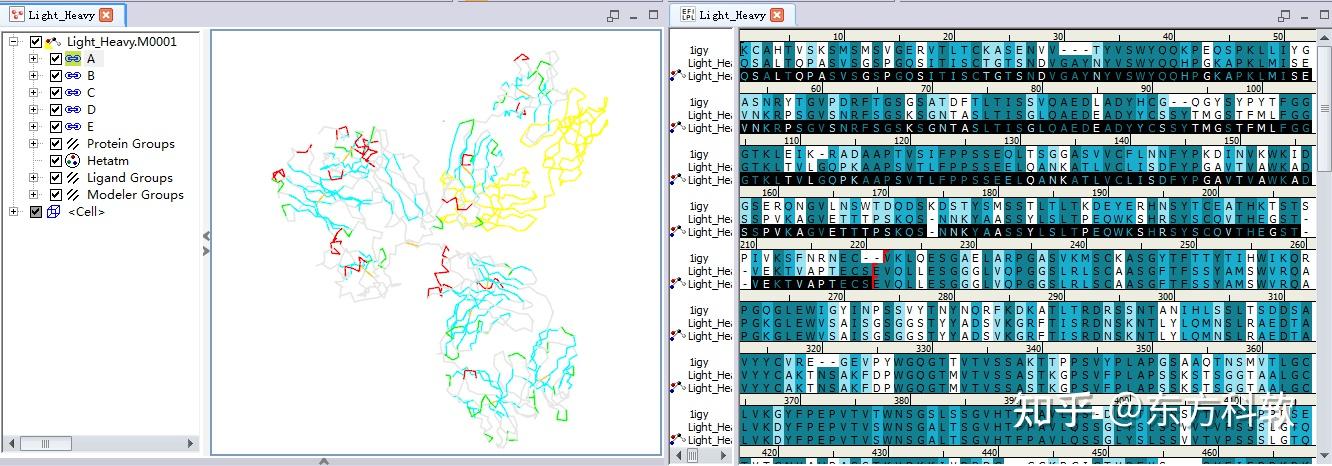 Discovery Studio官方教程（Help-Tutorials） 基于MODELER构建抗体模型 - 知乎