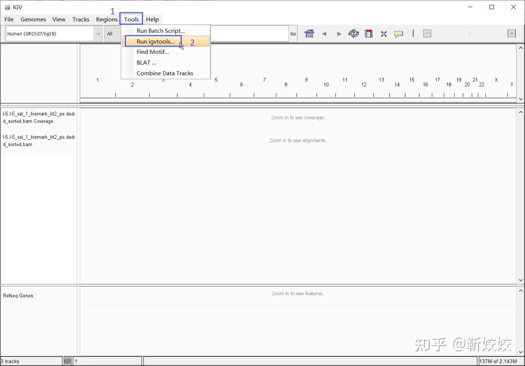 IGV快速上手指南（五）——查看甲基化数据 - 知乎