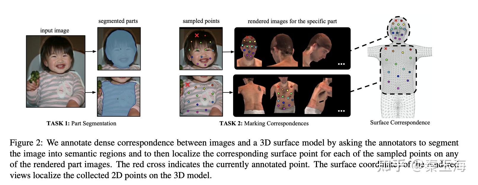 Densepose:Dense Human Pose Estimation In The Wild - 知乎