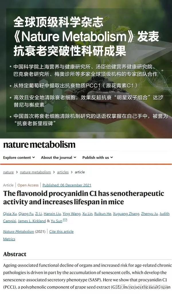 国际权威杂志Nature增刊聚焦汤臣倍健PCC1及专利菌科学营养创新 - 知乎