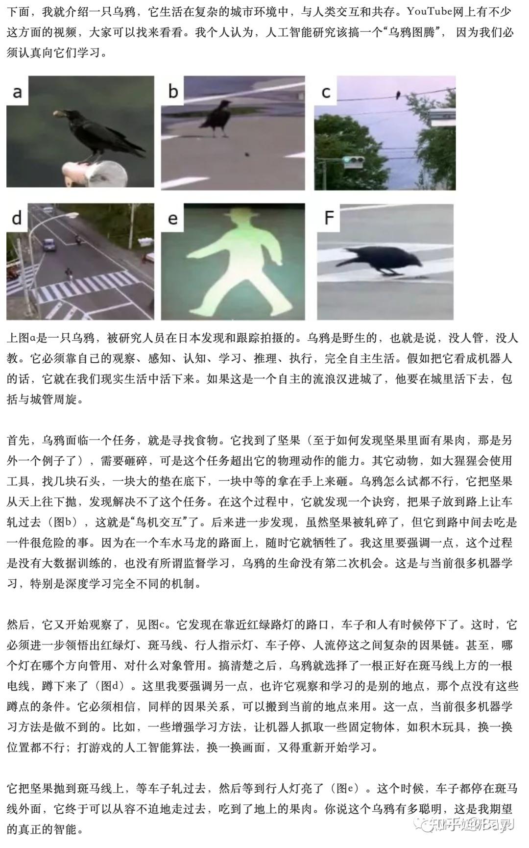 搞懂语言大模型(上):技术原理 知乎