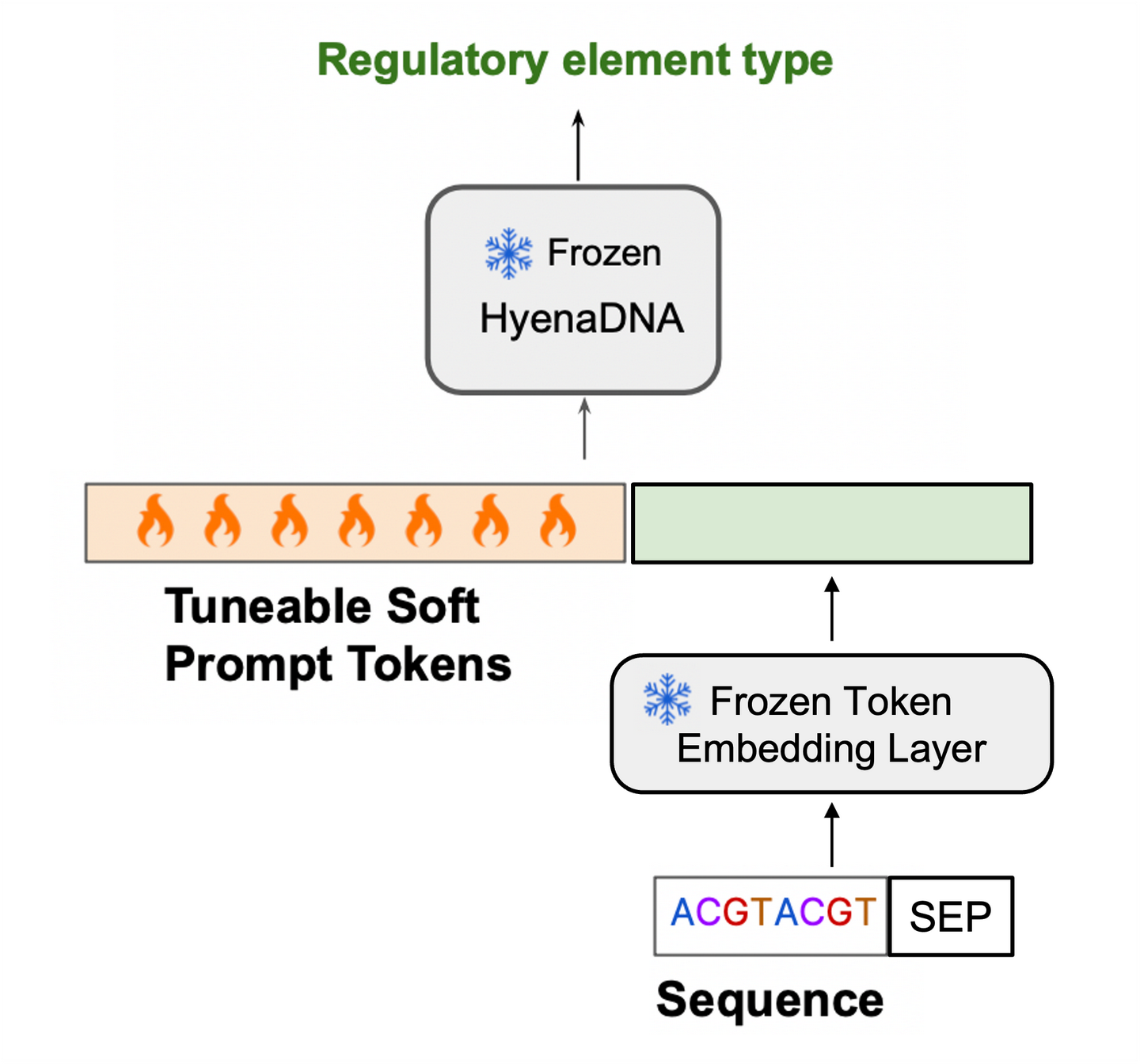 (九) HyenaDNA 技术解读 | 基于 Hyena 架构的超长 DNA 序列预训练模型 - 知乎