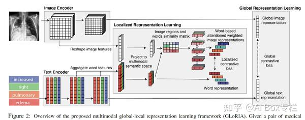Multimodality in Medical Domain：一文速览医学多模态进展 - 知乎