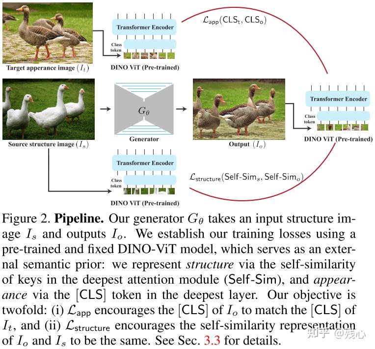 Splicing ViT Features for Semantic Appearance Transfer - 简略笔记 - 知乎