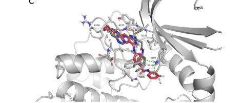 UnCorrupt SMILES：一种新的从头设计方法 - 知乎