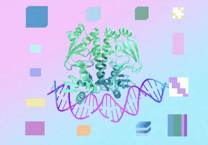 一文图解AF3原理 - 知乎