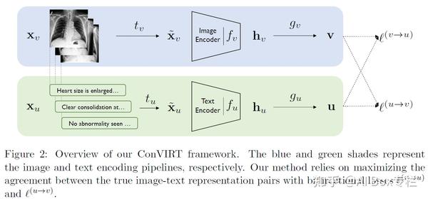Multimodality in Medical Domain：一文速览医学多模态进展 - 知乎