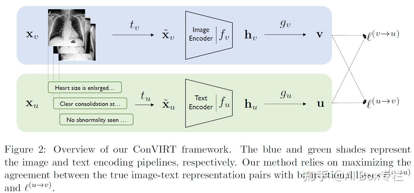 Multimodality in Medical Domain：一文速览医学多模态进展 - 知乎