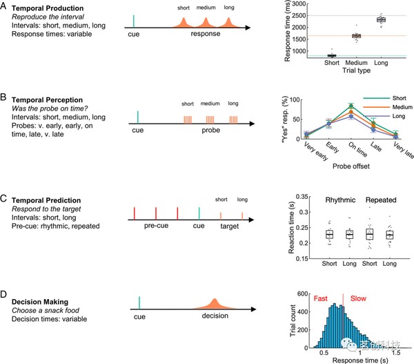 PNAS：人类头皮记录电位的时间尺度 - 知乎